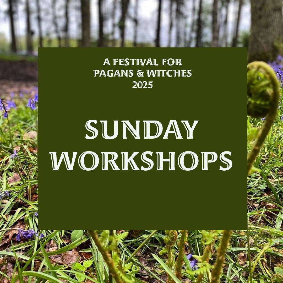 Sunday Workshops